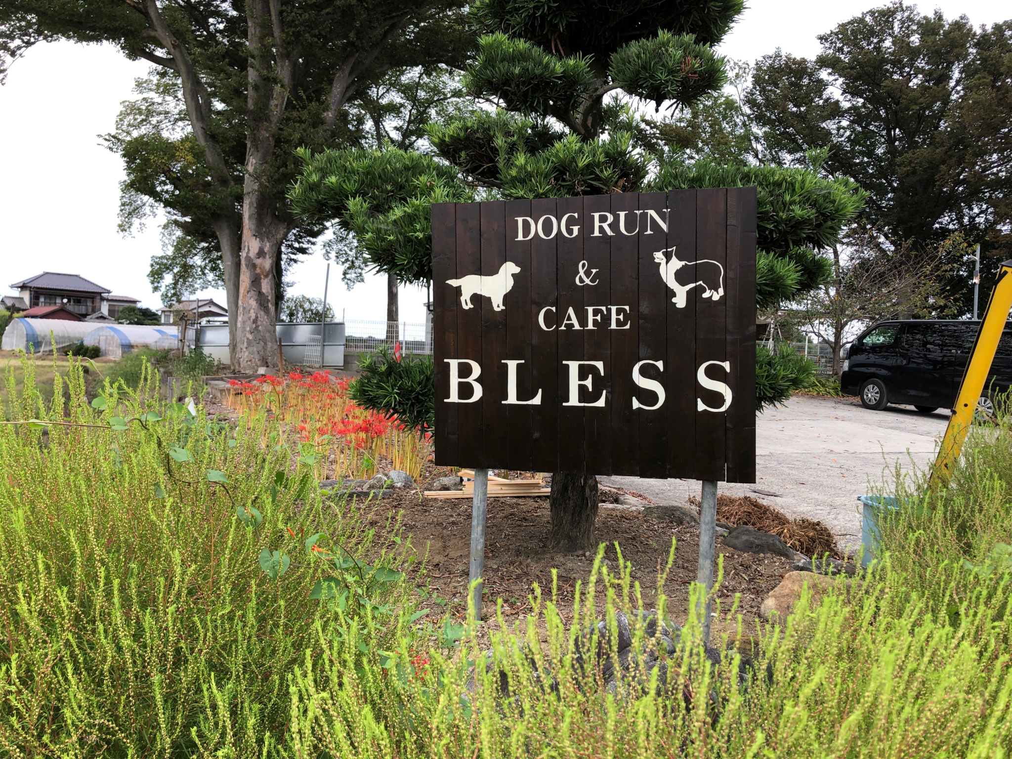 Dog Run ＆ Cafe BLESS | ドッグラン ＆ カフェ ブレス