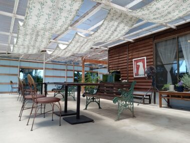 Dog Run ＆ Cafe BLESS | ドッグラン ＆ カフェ ブレス